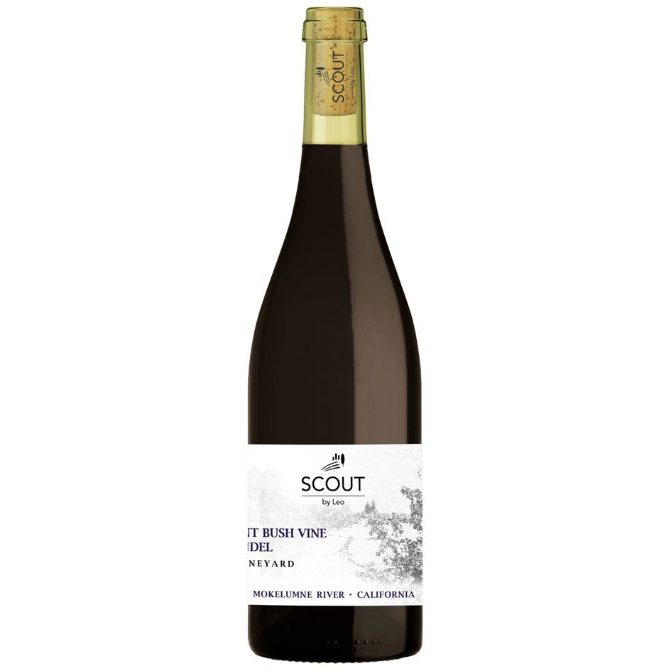 Scout - Ancient Bush Vine - Zinfandel - Espergærde Vinhandel